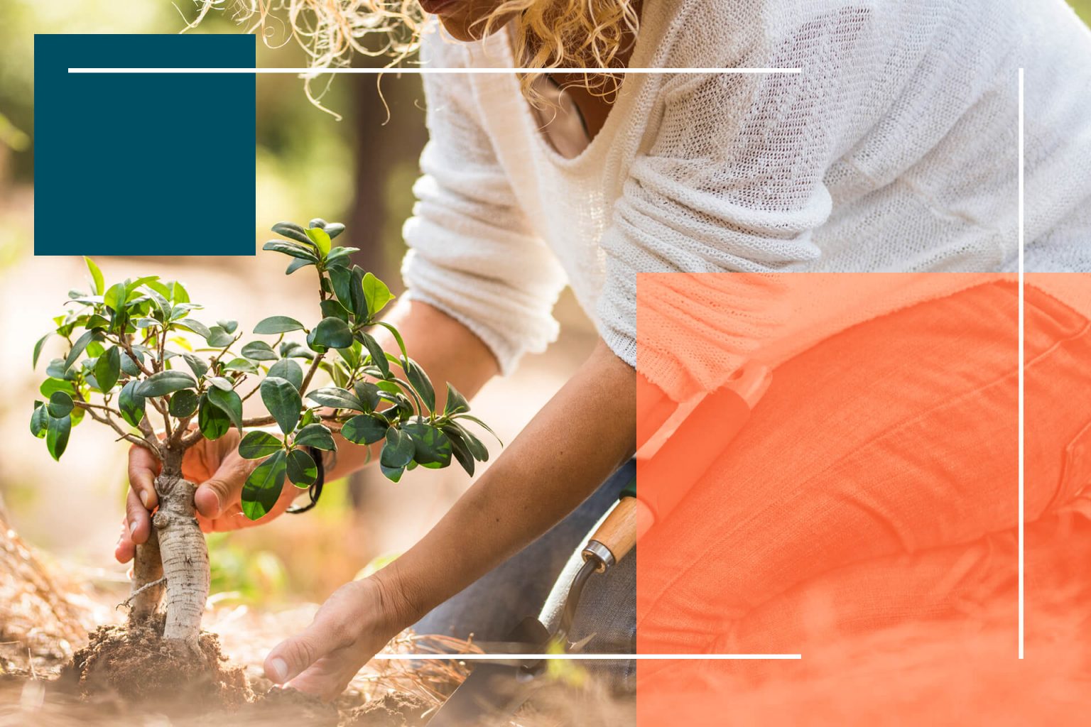 Tree Planting Tips: Find the Right Trees for Your Yard