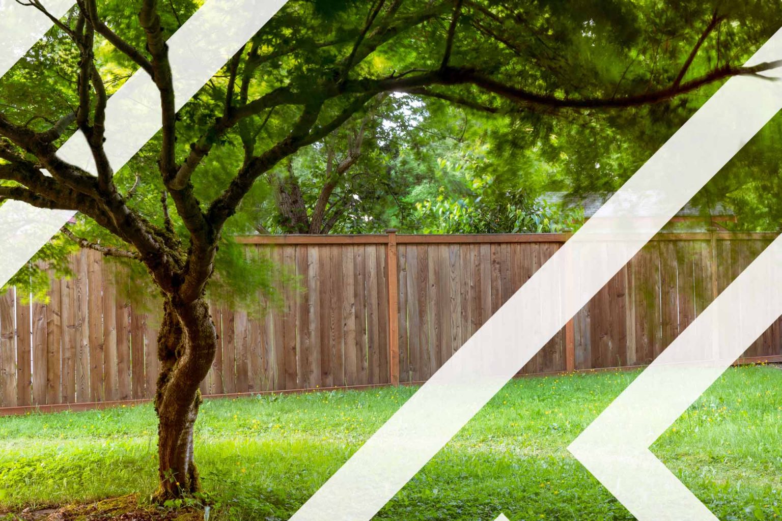 The Importance of Planting Trees at Home | Renovated