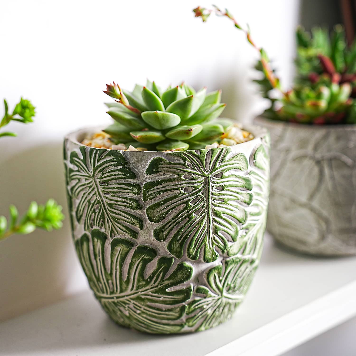 Decorative Indoor Flower Pots for the Stylish Plant Addict