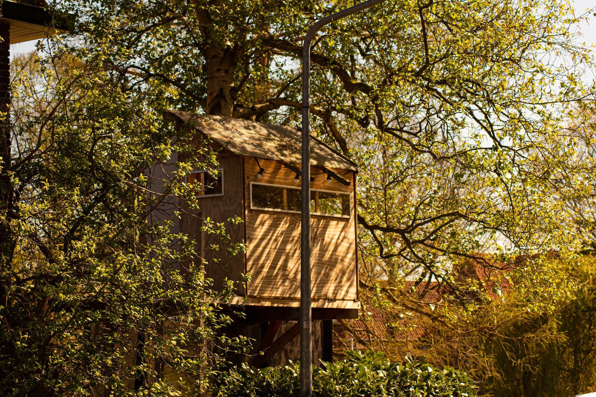 5 Beautiful Treehouse Designs You'll Love | Renovated
