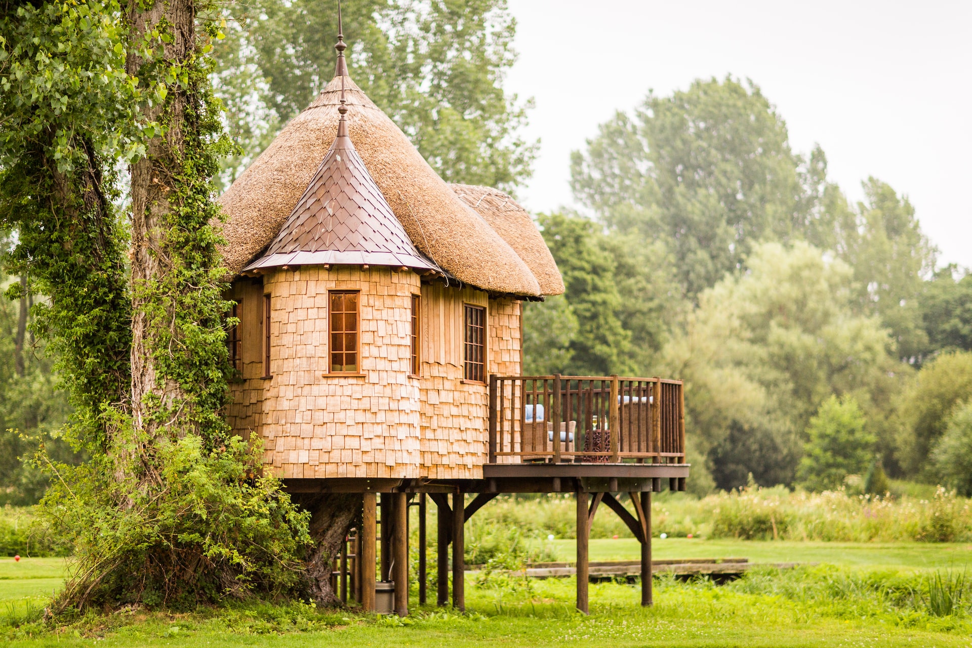 5 Beautiful Treehouse Designs You'll Love | Renovated
