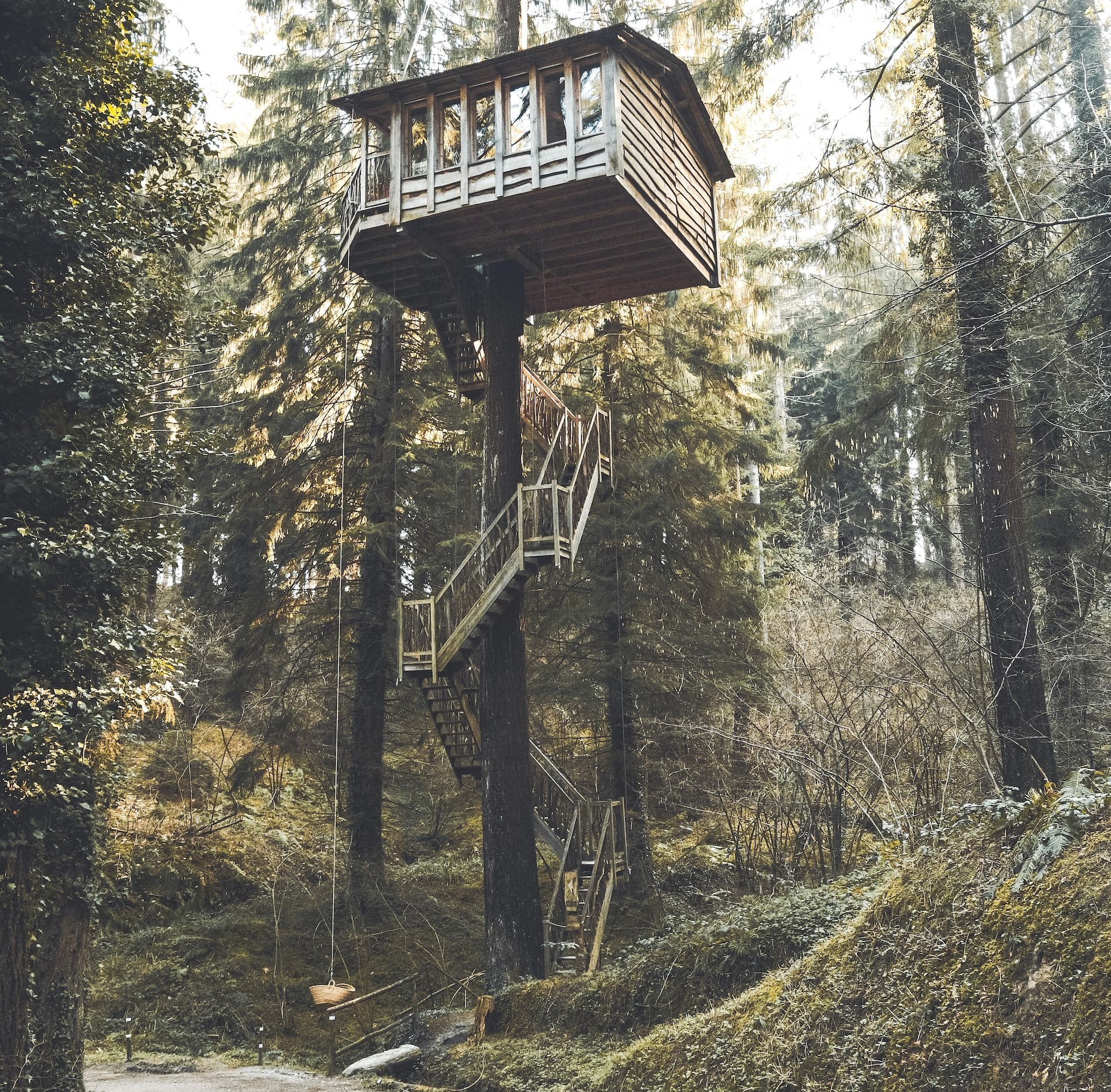 5 Beautiful Treehouse Designs You'll Love | Renovated