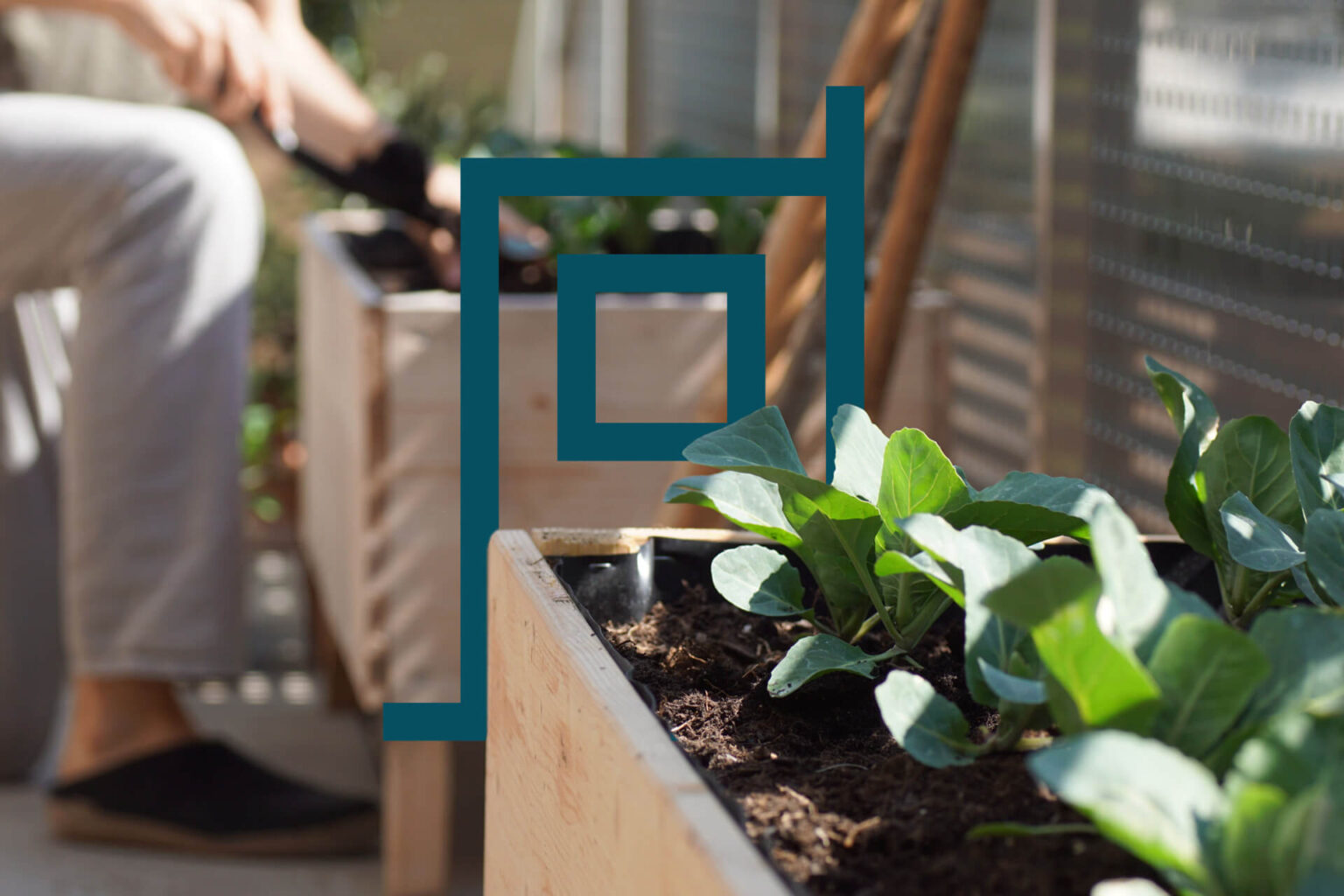 5 Tips For Gardening In Small Spaces Renovated