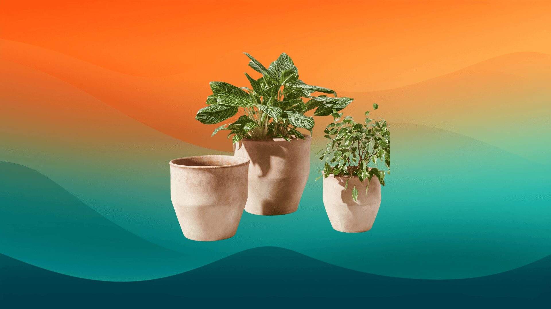 Decorative Indoor Flower Pots for the Stylish Plant Addict