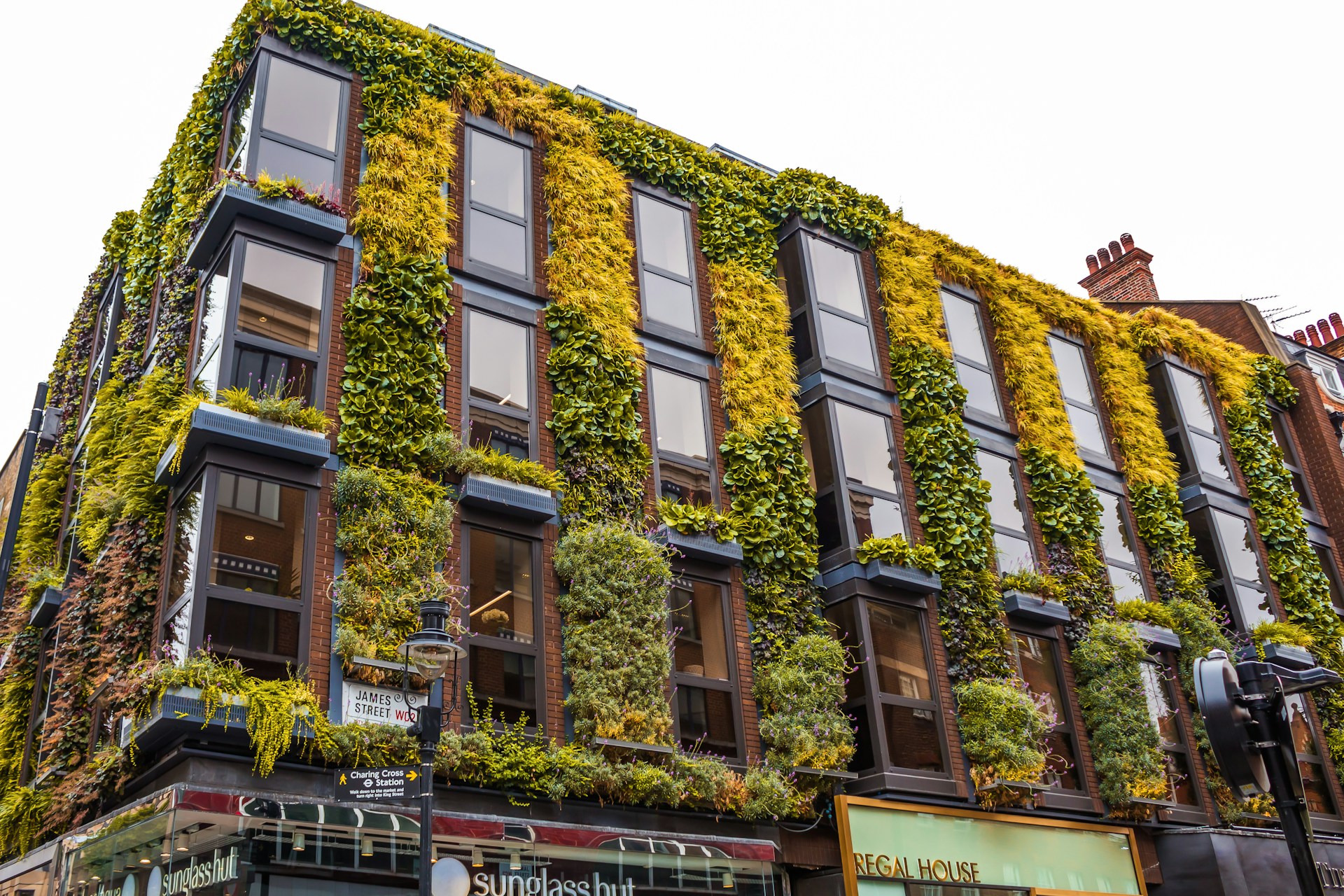 Everything You Need to Build a Living Plant Wall | Renovated