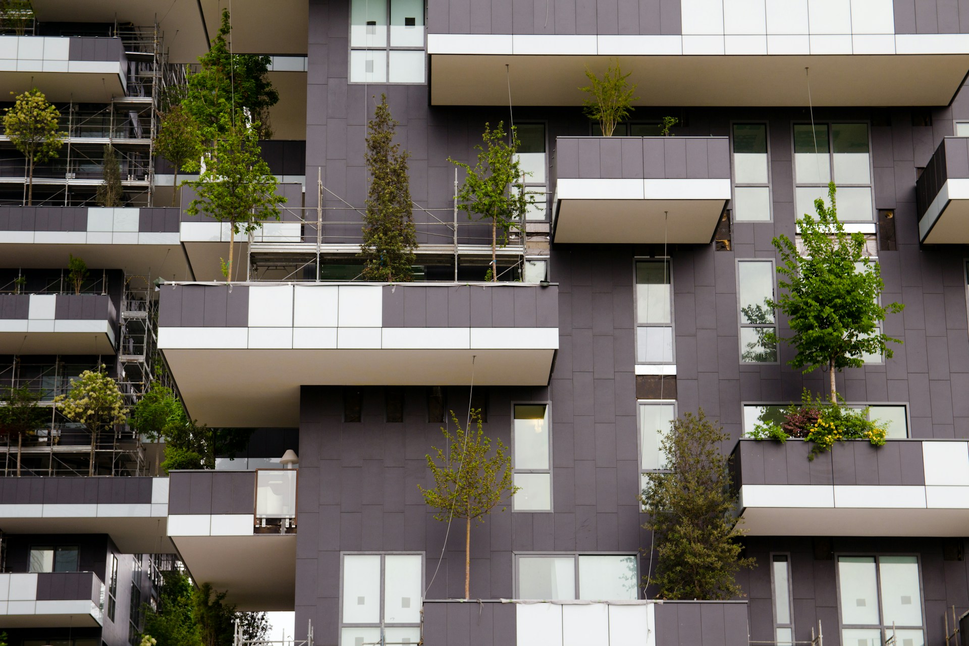 Everything You Need to Build a Living Plant Wall | Renovated