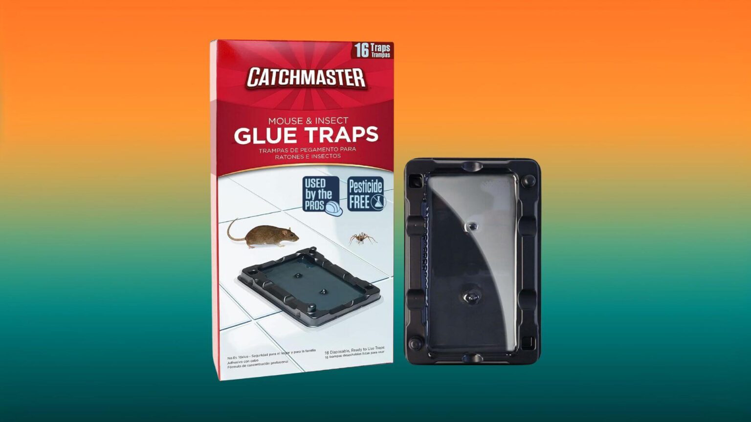 12 Best Bug Traps to Keep Your Home Pest-Free | Renovated