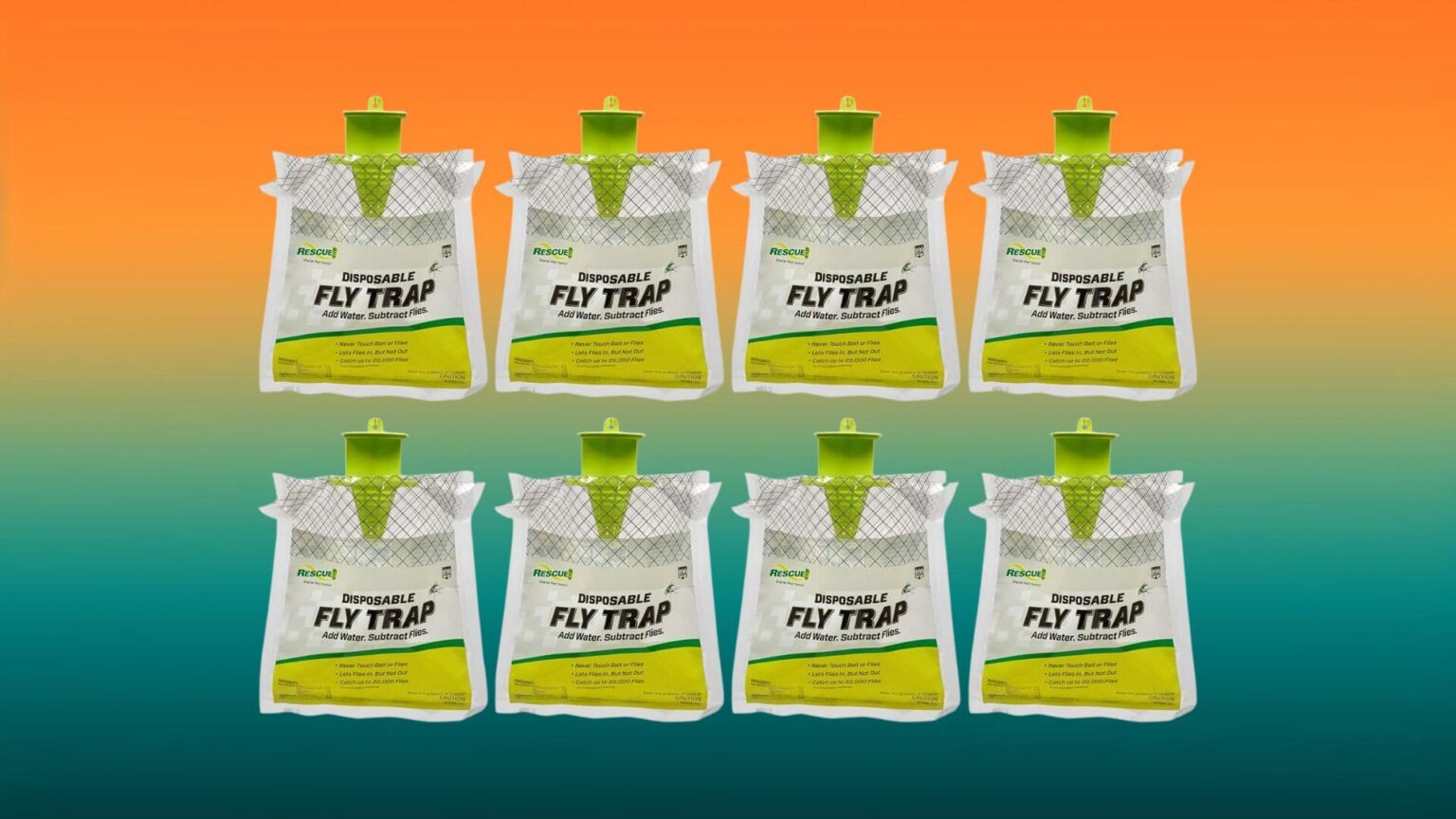 12 Best Bug Traps to Keep Your Home Pest-Free | Renovated